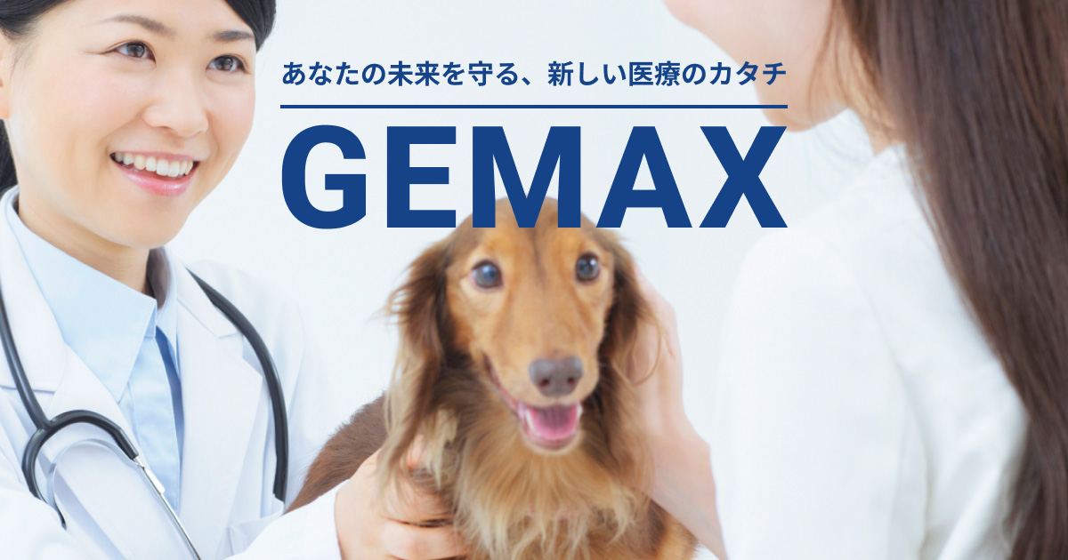 株式会社GEMAX